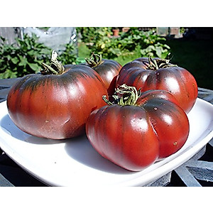 30+ Giant Black Krim Tomato Seeds, Heirloom Non-GMO, Low Acid, Indeterminate, Open-Pollinated, Sweet, Super Delicious, from USA