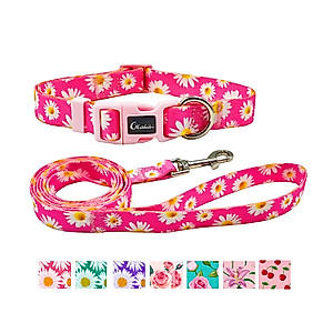Olahibi Dog Collar and Leash Set, Cute Pink Daisy Pattern, Polyester Material, 5ft Leash, for Small Dogs.(S, Daisy Set)