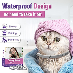 Calming Collar for Cats 4 Pack Calming Cat Collars Adjustable Soother Cats Calming Collars Anxiety Relief Stress Pheromone Collar for Cats Comfort Cat Calm Collars Lasts 30 Days Cats Calming Collar