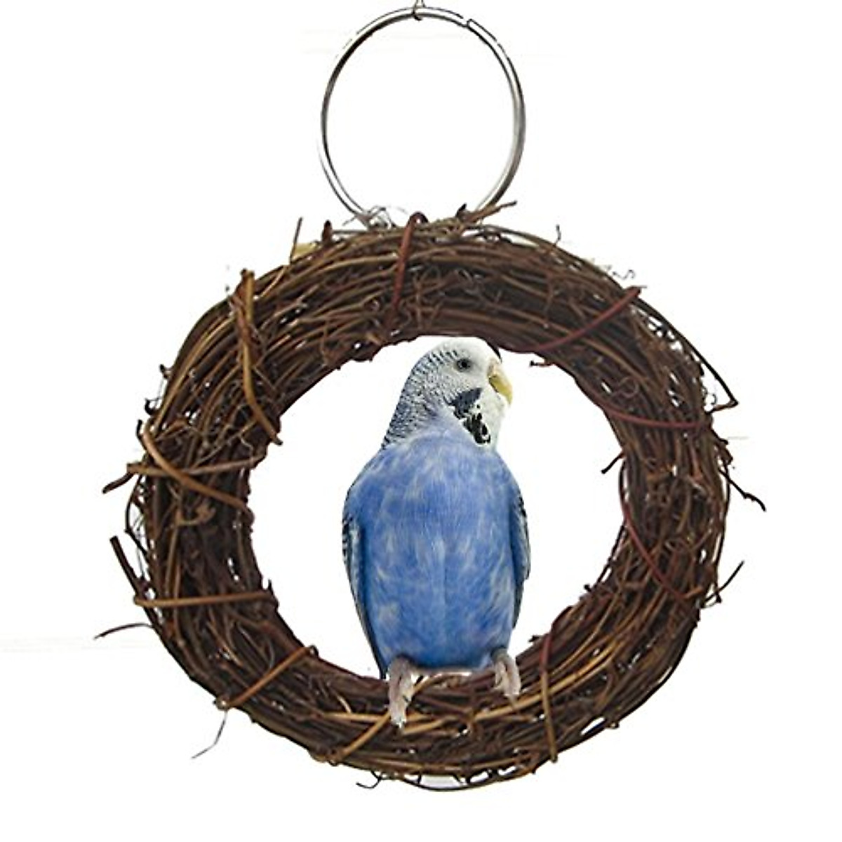 Natural Rattan Hoop Chew Toy for Parakeet Budgie Cockatiel Conure Macaw Lovebird Hanging Cage (L)