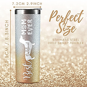 Onebttl Dachshund Gifts, Best Dachshund Mom Ever, Christmas Gifts for Wiener Dog Lovers, Women, Girls, Friends, Daughters, Coworkers, Stainless Steel Glittering Tumbler 20Oz