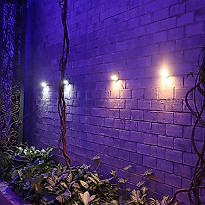 Arclight Solar LED Fence Lights Motion Sensor Wall Light Weatherproof Landscape Decorative Lighting for Fence Garden Pathway (Warm White+Side Blue LED, 2 Pack)