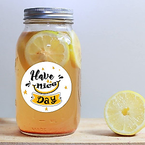 2 Inch Have a Nice Day Stickers,Decorative Business ,Envelope Sealing,Thank You Adhesive Packaging Labels for Tool Boxes,Laptops,500 Pcs Per Roll