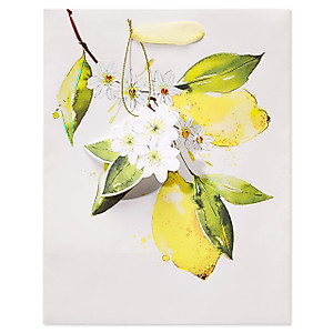 Papyrus 9" Medium Gift Bag (Citrus) for Birthdays, Weddings, Bridal Showers, Baby Showers and All Occasions (1 Bag)