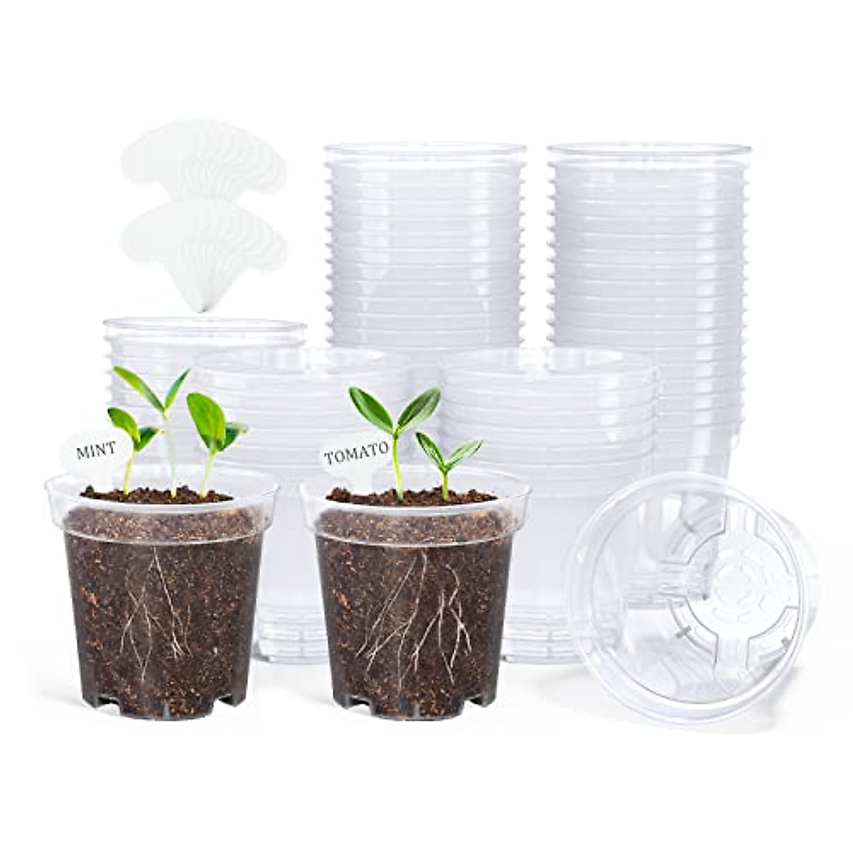 homenote Clear Nursery Pots, 60 Packs 3 Inches Seedling Pots with Drainage Holes, High Transparency Plant Pots Durable Seed Starter Pots Reusable for Plants Vegetables with Bonus 20 Plant Labels