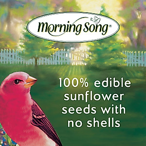 Morning Song Sunflower Wild Bird Food Bundle (5.5 lbs) | Wagner's Safflower Seed (5 lbs)