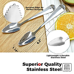 Better Houseware Grapefruit Spoon and Knife Set - Stainless Steel Knife w/Nylon Handle, Serrated Edge, Dishwasher Safe | Kitchen Utensils