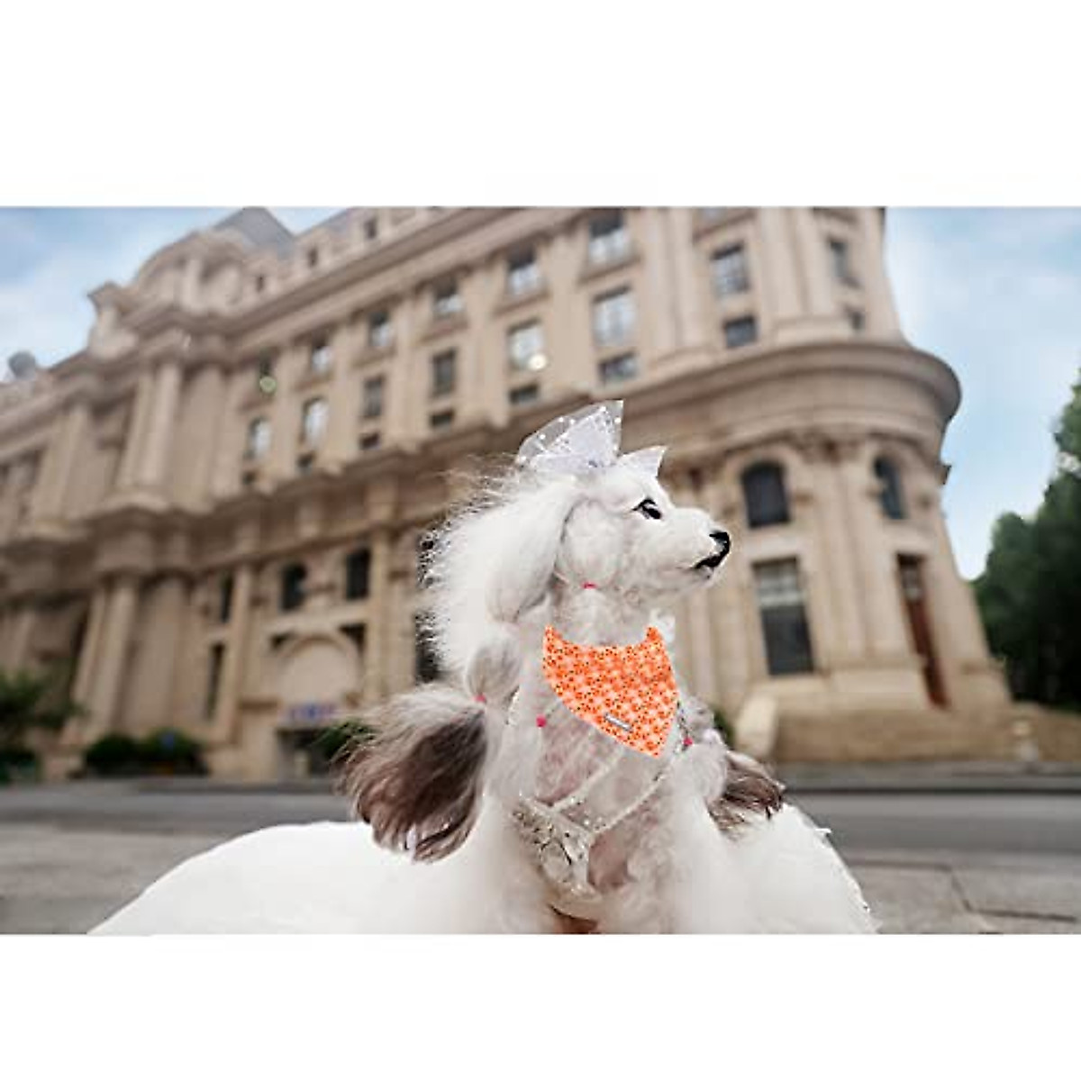 Babole pet Dog Bandanas, 1PC Purple Washable Square Dog Scarfs for Small Medium Large Dogs Adjustable Dogs Bib Scarfs for Girl and Boy(L)