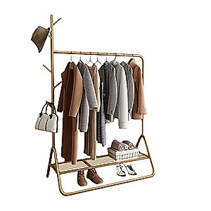 HKaikzo Gold Clothes Rack, Clothing Rack for Hanging Clothes, Boutique Garment Rack with Detachable Storage Shelves and Hat Hooks, for Bedroom Cloakroom (47.3" L)
