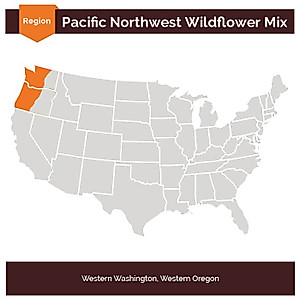 Pacific Northwest Wildflower Seed Mix - 1/4 Pound - Mixed Wildflower Seeds, Attracts Bees, Attracts Butterflies, Attracts Hummingbirds, Attracts Pollinators, Easy to Grow & Maintain, Cut Flower