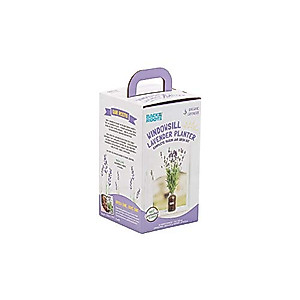 Back to the Roots Lavender Organic Windowsill Planter Kit - Grows Year Round, Includes Everything Needed for Planting