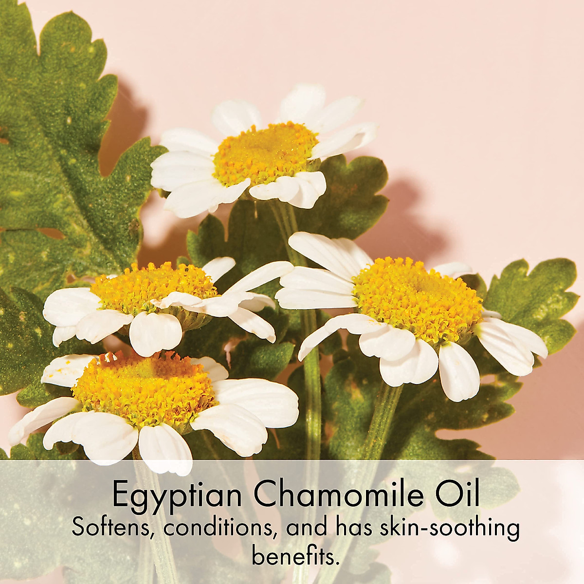 EVE LOM The Original Balm Cleanser - Facial Cleansing Balm - 5-in-1 Facial Cleanser & Muslin Cloth - Deep Cleansing & Gentle Exfoliation, Hydrating Skin Benefits, Removes Waterproof Make-Up - 20 ml