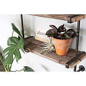 BarnwoodUSA Rustic Wooden Shelf with 2 Planks, Farmhouse Wall Ledge, Natural Weathered Gray