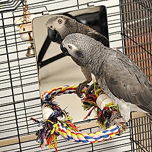 Colorday 9 inch Stainless Steel Bird Mirror with Rope Perch, Bird Toys Swing (Large)