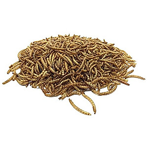 Pecking Order Dried Mealworms, 30 oz
