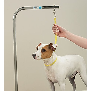 Top Performance Basic Grooming Loops - Versatile Nylon Loops to Secure Dogs on Tabletops While Grooming - 18", 4-Pack