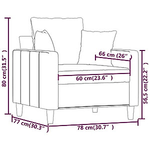 ULUYYUC Sofa Chair,Lounge Sofa Modern Sofa Funky Sofa Living Room Furniture with Armrests Suitable for Living Room Apartment Home Office Dark Gray 23.6" Velvet