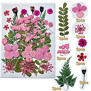 Fbrand 180 Pieces of Real Dry Embossed Flowers with Plant Petals Used for Scrapbook Supplies Card Making Nail Art Picture Frame Decoration soap and Candle