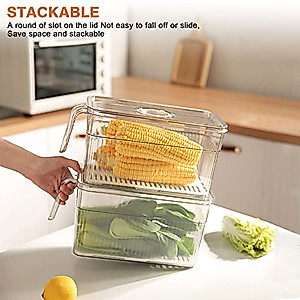 loobuu Produce Saver Containers for Refrigerator - 2 Pack Stackable Food Storage Container for Fridge, Berry Keeper Boxes with Removable Drain Tray Keep Fresh for Vegetables, Fruit,Meat and Salad