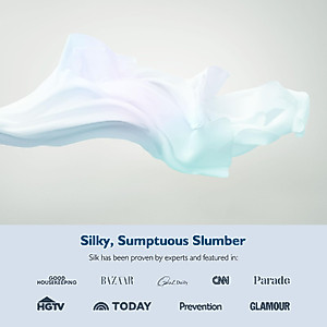 Dafinner 100% Mulberry Silk Pillowcases Standard Size, Grey Silk Pillow Cases Set of 2, Hair and Skin Friendly, Hidden Zipper, Gifts for Women Men, 2 Pack, 20x26 Inches