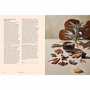 The Plant Medicine Protocol: Unlocking the Power of Plants for Optimal Health and Longevity