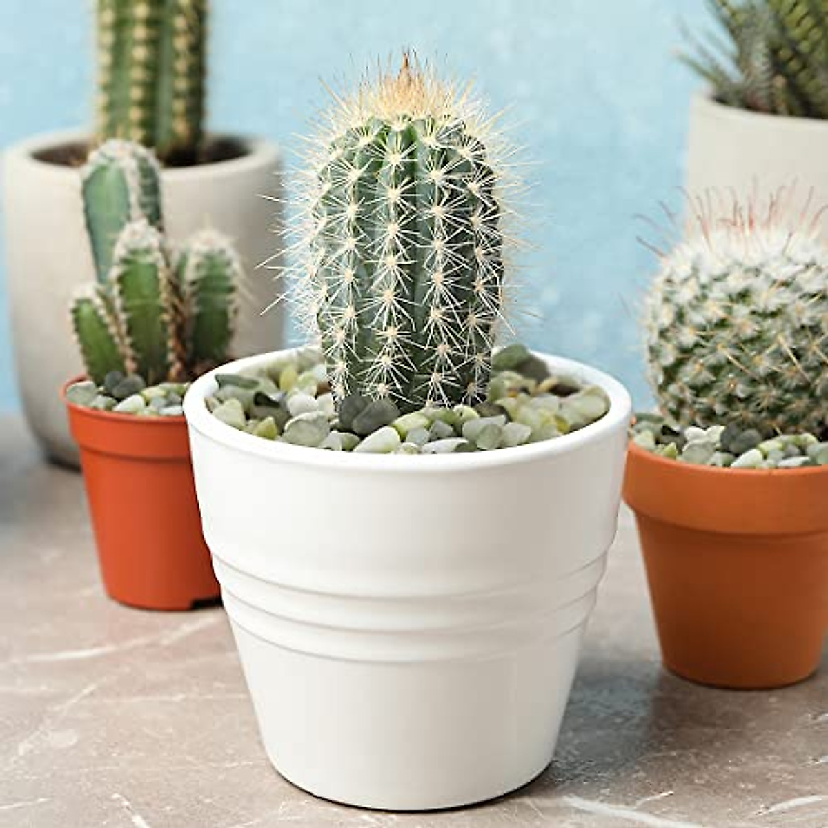 YISZM 2 LB Succulent and Cactus Jade Pebbles, 3/8 Inch Natural Decorative Polished Stones, River Rocks for for Indoor Plants, Vases, Planters and Outdoor Gardening