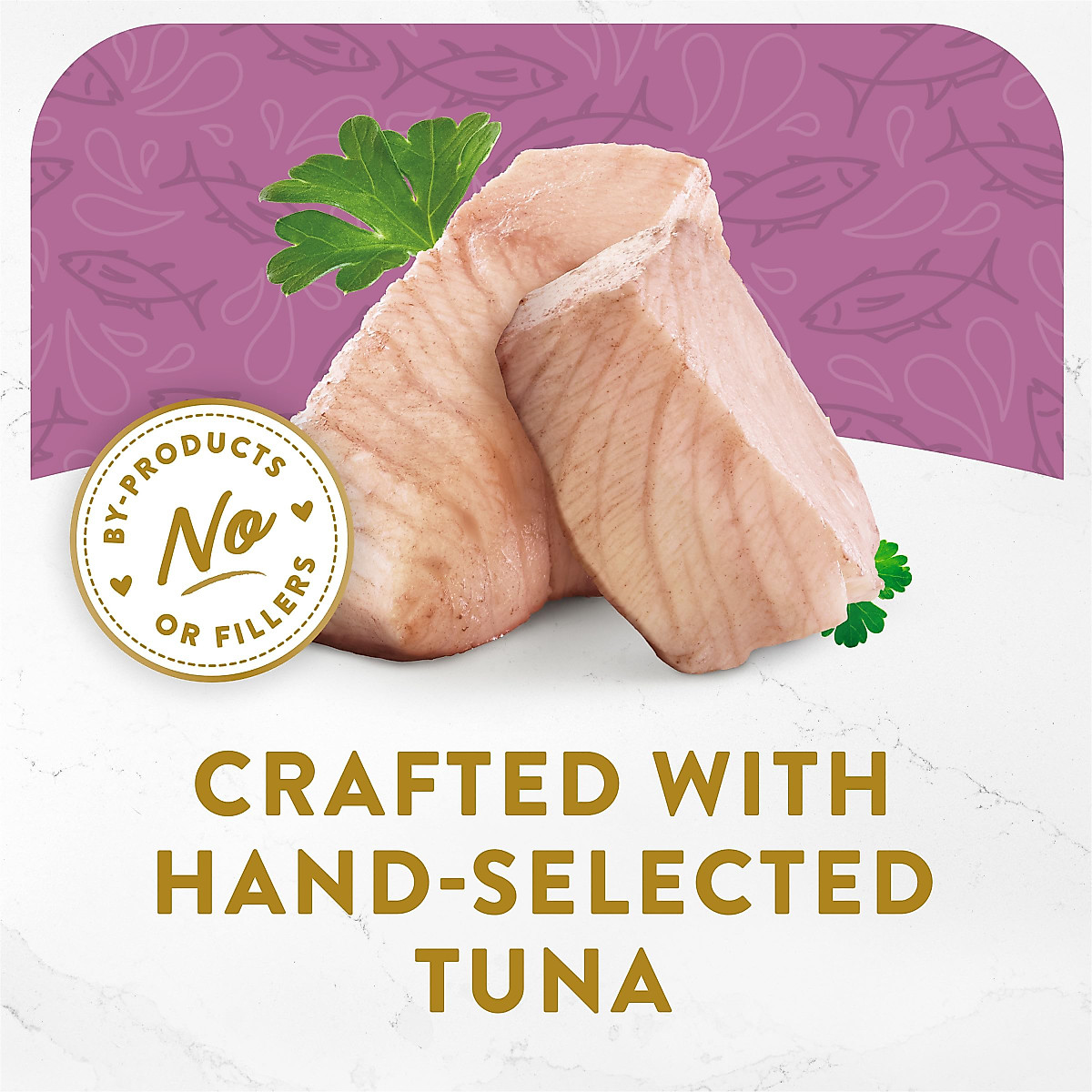 Purina Fancy Feast Appetizers Grain Free Cat Food Flaked Tongol Tuna Appetizer Lickable Cat Food Topper - (Pack of 10) 1.1 oz. Trays