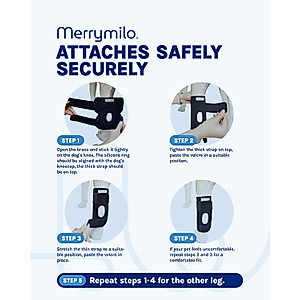 MerryMilo Dog Leg Brace for Rear Hock & Ankle, Canine Hind Leg Joint Compression Wrap for Torn ACL & CCL, Injury and Sprain Protection, Wound Care and Loss of Stability from Arthritis 1 Pair (Size: M)