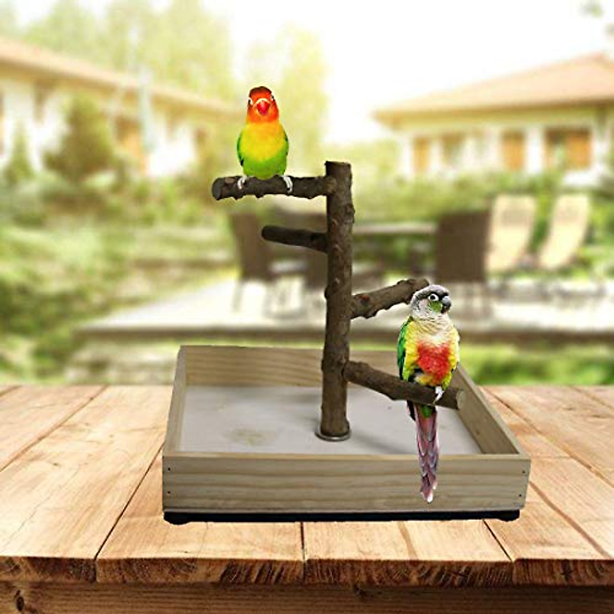 Hamiledyi Bird Perch Stand Tabletop,Parrot Playground Bird Gym Natural Wooden Perch PlayStand Platform for Parrots Parakeets Canaries Cockatiels Conure Lovebirds