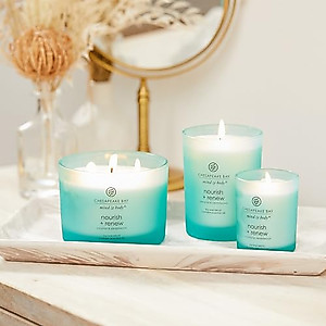 Chesapeake Bay Candle Mind & Body 3-Wick Coffee Table Jar Candle, Nourish + Renew (Coconut & Sandalwood)