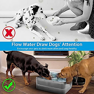 Upgraded 1.85Gal Dog Water Fountain, Automatic Cat Water Fountain Pet Water Dispenser with Double Filter Specially for Large Dogs and Multiple Pets