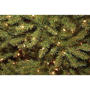 National Tree Company Pre-Lit Artificial Mini Christmas Tree, Green, Dunhill Fir, White Lights, Includes Stand, 4.5 Feet
