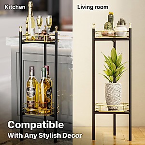 BENOLDY 2 Tier Plant Stand Table - Black Metal Frame with 2 Portable Golden Plate Tray, Plant Holder Stand, Serving Cart Tray and Wine Rack, Indoor/Outdoor Plant Shelf, Plant Pot Stand