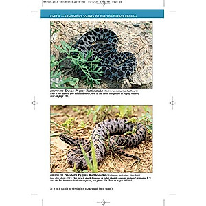 U.S. Guide to Venomous Snakes and Their Mimics