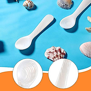 Set of Caviar Spoons Shell Spoon Mother of Pearl Caviar Spoons W Round Handle for Caviar, Egg, Ice Cream, Coffee, Restaurant Serving (2 Pieces,3.54 Inches)