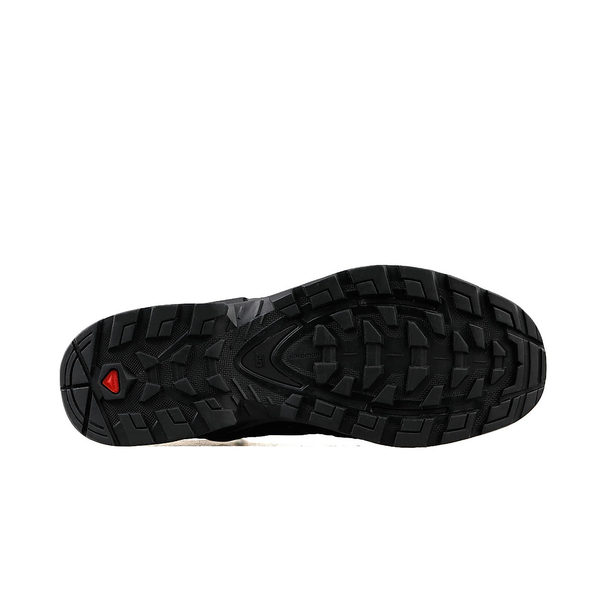 Salomon Quest 4 Gore-TEX Hiking Boots for Men, Magnet/Black/Quarry, 11