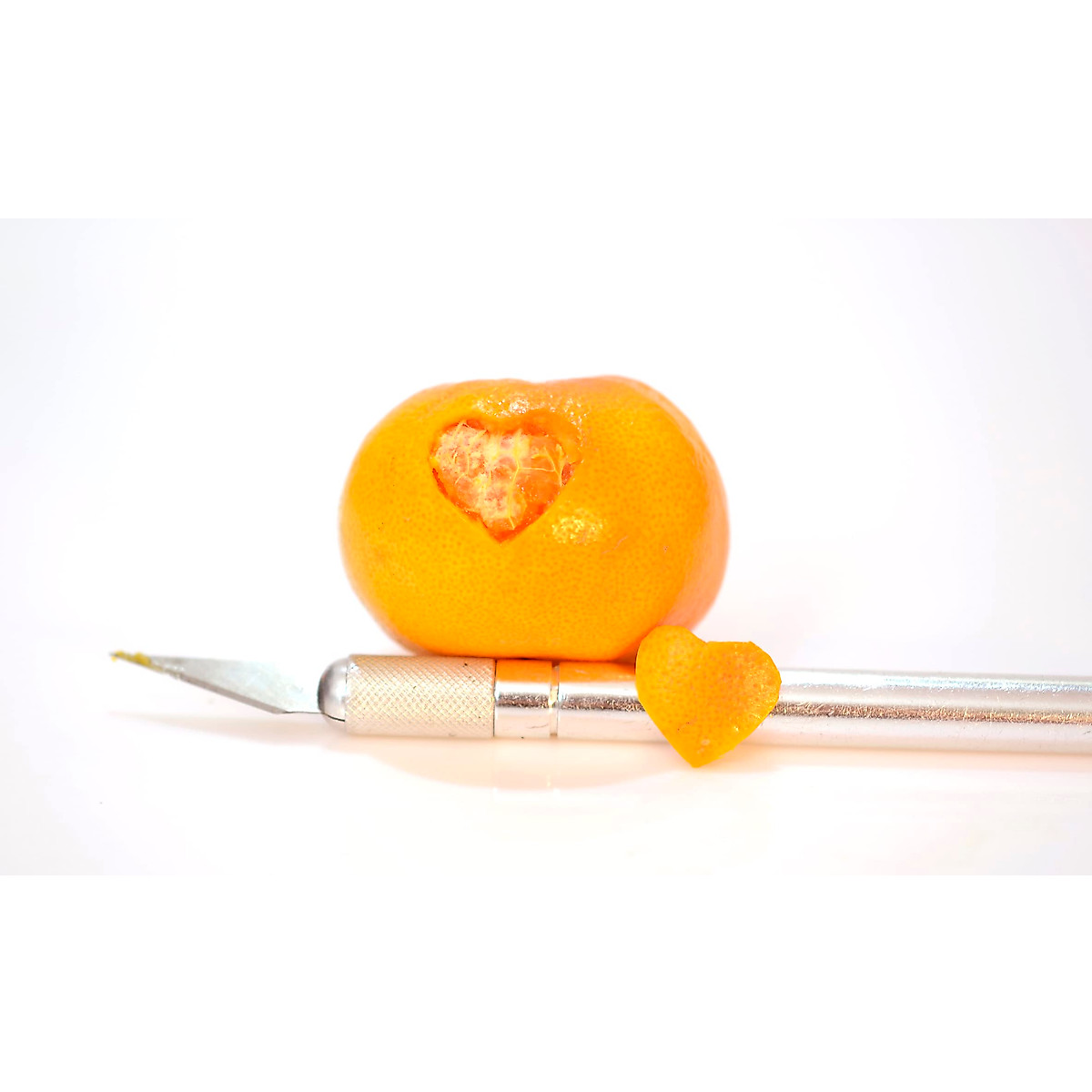 Nules Clementine Starter Plant. Citrus Clementina. 3" - 5"