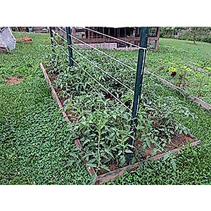 IRRIGATION-MART 6300FT Tomato Tying Garden Twine