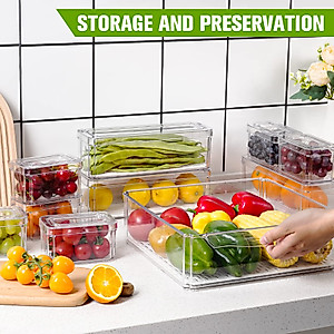 GODORIO Set of 10 Fridge Organizers, Stackable Refrigerator Organizer Bins with Lids, BPA-Free Fridge Organizers and Storage Clear Containers, Clear Plastic Pantry Storage Bins for Fruits, Vegetable