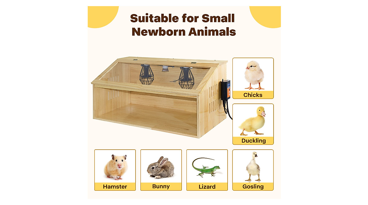 EVERYGROW Intelligent Brooder Box for Chick & Small Animals - Warm & Safe