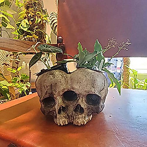 BEFOKA Resin Skull Planter, Gothic Retro Skull Head Flower Succulents Pot, Outdoor Indoor Garden Planter, Gothic Statue Sculpture Skeleton Decor (A)