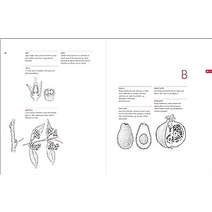 A Botanist's Vocabulary: 1300 Terms Explained and Illustrated (Science for Gardeners)