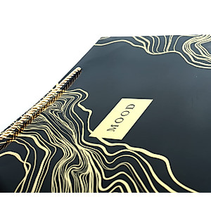 16" Large Black Gift Bag with Gold Line