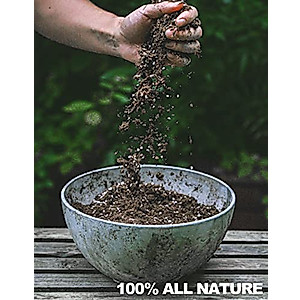 Carnivorous Plant Soil Mix, 1 QT Small Size Bag for Repotting, All Natural Ingredients Great for Venus, Sundews, and Pitcher Plants
