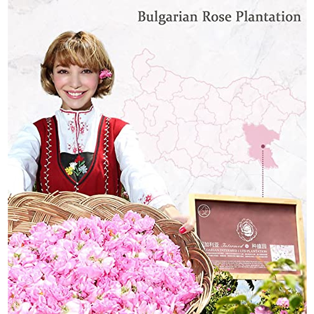 Rose Essential Oil 100% Pure Aromatherapy Oil Best Grade Rose Oil for Diffuser, Perfumes, Massage, Skin Care - 10ml