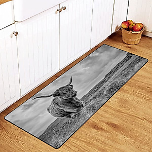 MoBlinko Highland Cow Kitchen Rugs Scotland Cattle Non Skid Bath Mat 39x 20 Inch Washable Standing Floor Mat Runner Carpet for Bathroom Home Office Farmhouse Laundry