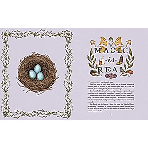 The Wheel of the Year: An Illustrated Guide to Nature's Rhythms