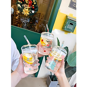 Ework4U 2 Pcs Drinking Glasses with Glass Lids and Glass Straw 16oz Glassware Set,Iced Coffee Glasses,Ideal for Water,Soda,Tea,Gift - with Cleaning Brushe