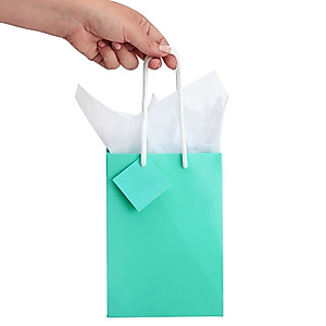 BLUE PANDA Small Teal Party Favor Gift Bags with Handles, Tissue Paper (5.5 x 7.9 In, 20 Pack)