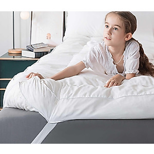 WhatsBedding 5 Inch Memory Foam Mattress Topper Queen Size, 100% Cotton Cover Breathable Fluffy Shredded Memory Foam Filled Pillow Top, Anti-Slip Bottom, 4 Anchor Elastic Bands, 80x60x5 Inch